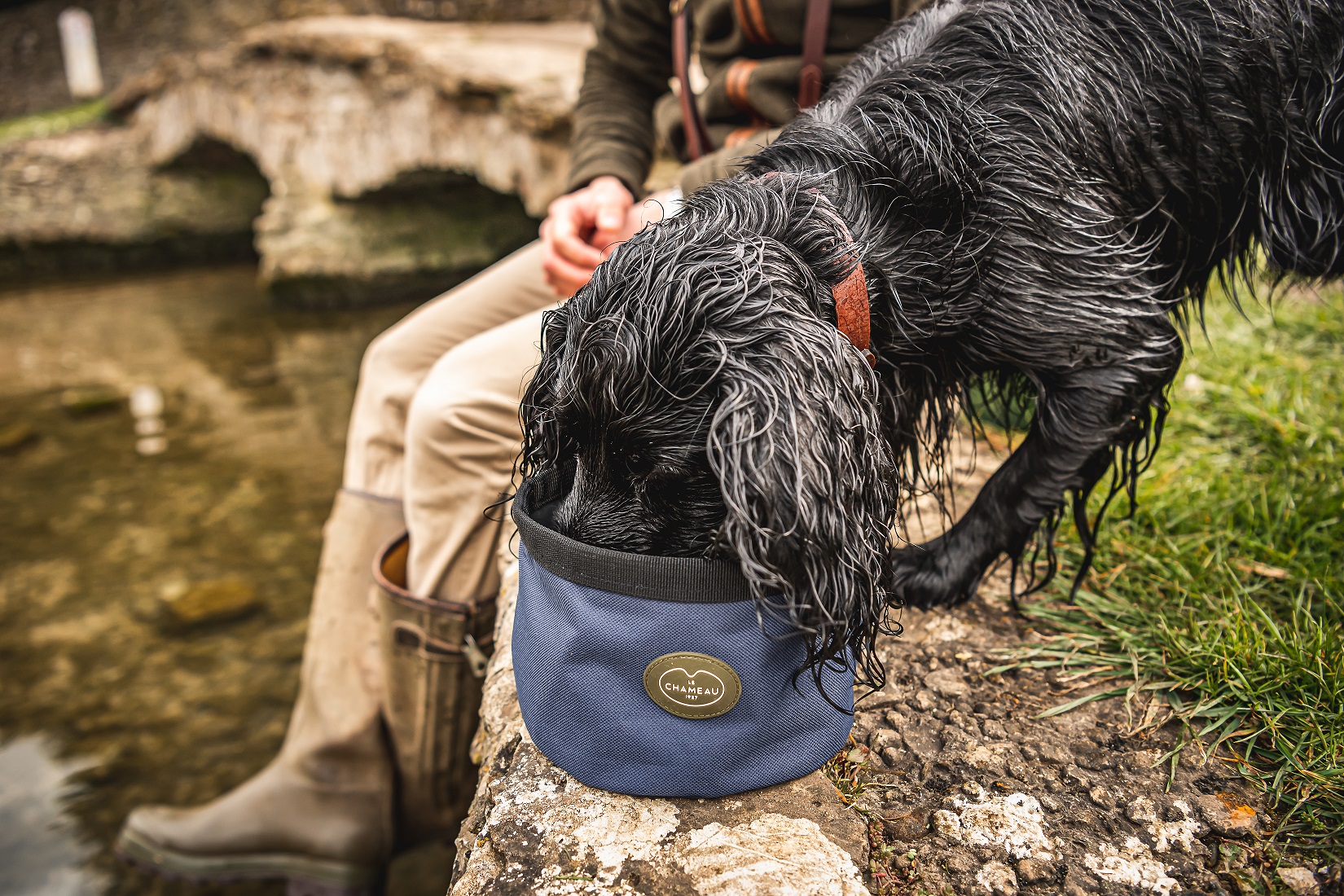 The Best Dog Walking Essentials - Outdoor and Country | Blog
