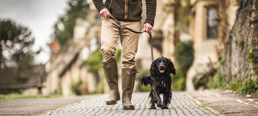 The Best Dog Walking Essentials - Outdoor and Country | Blog