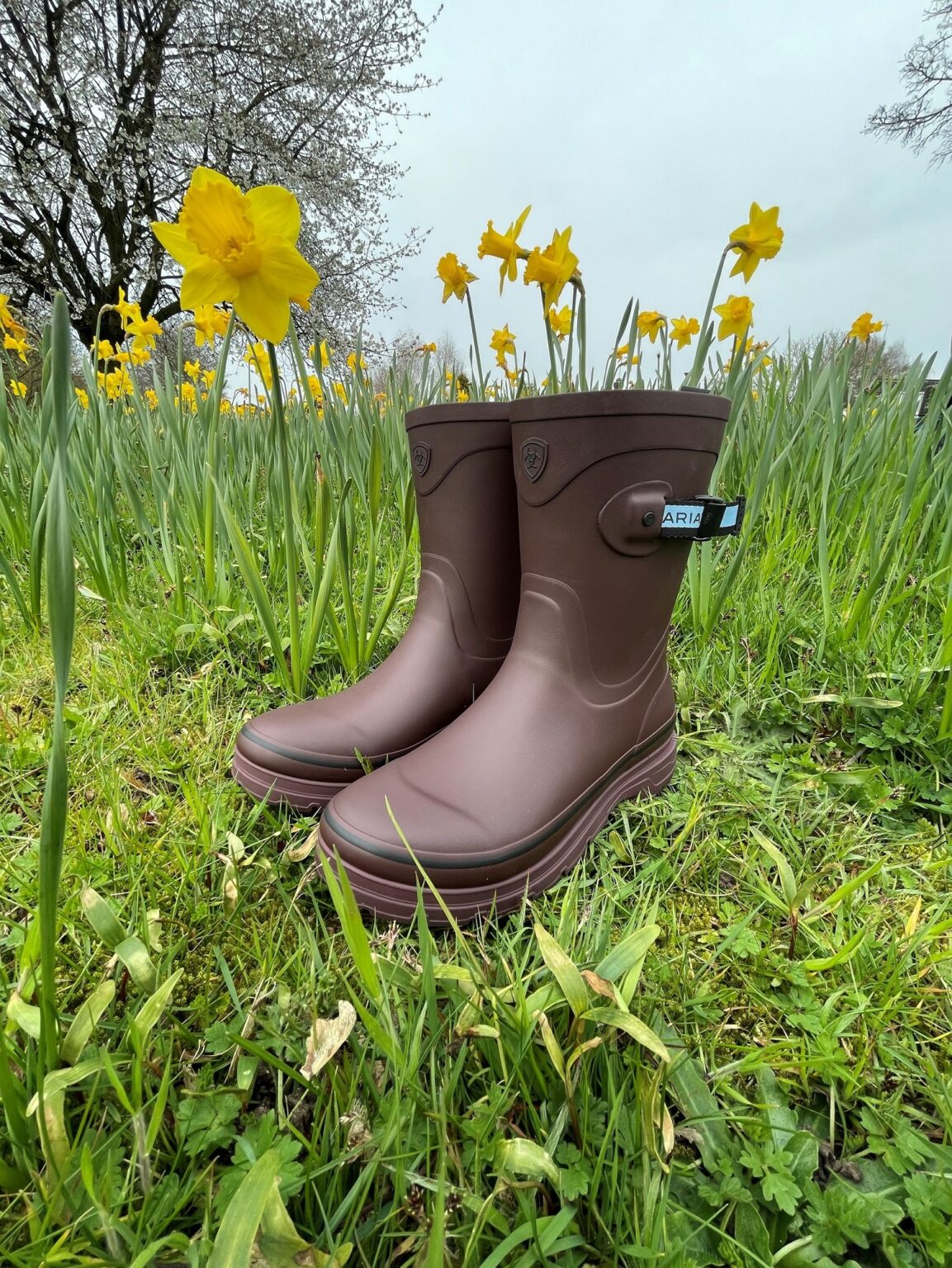 A Review Of The Women’s Ariat Kelmarsh Mid Rubber Boots