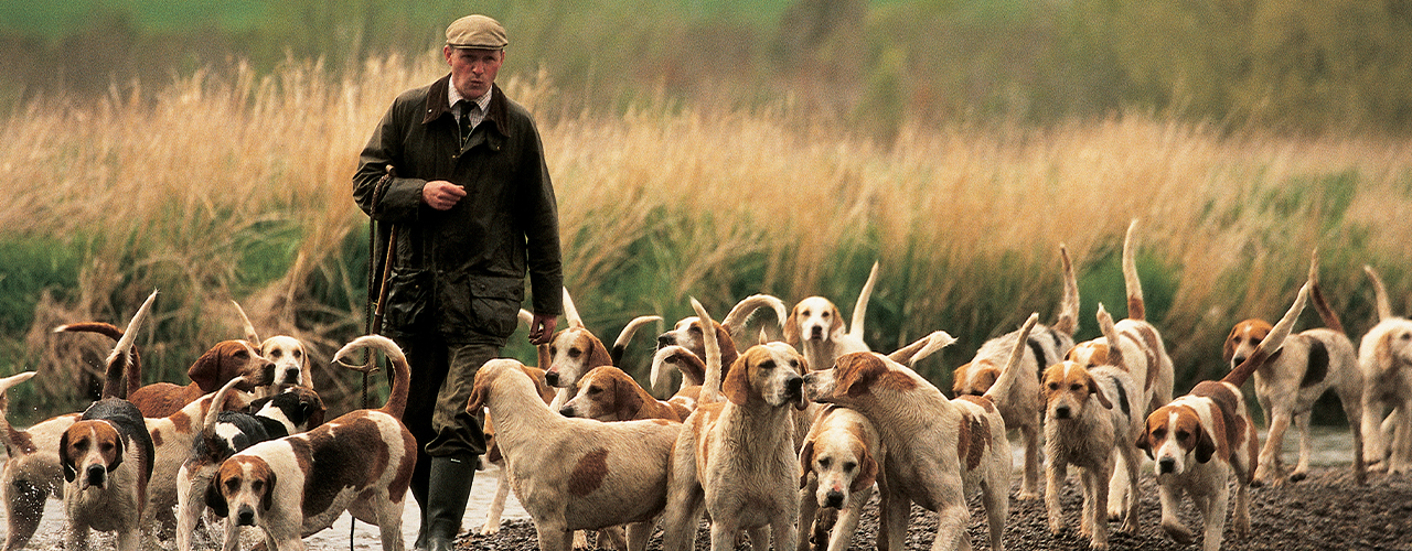 What Is the Most Popular Barbour Jacket Colour? 🧥